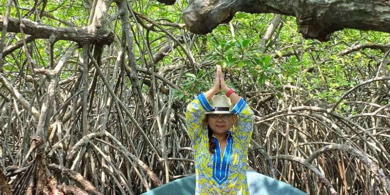 Galle and Bentota Day-Tour From Colombo - Who Will Love This Tour?