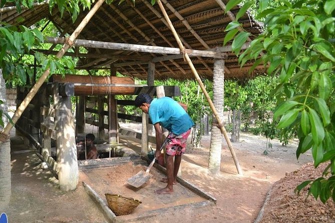 Galle Day Private Tour Beruwala/Bentota/Kosgoda/Ahungalla - Transport, Pricing, and Overall Value