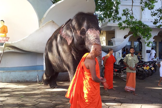 Galle Day Tour - Who Will Love This Tour?