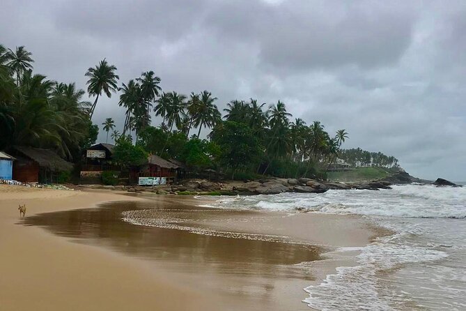 Galle Day Tour - Frequently Asked Questions