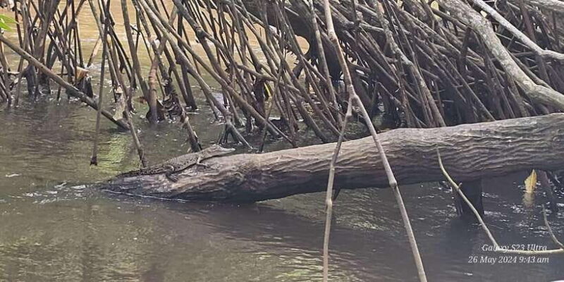 Galle Day Tour From Ahungalla/Kosgoda/Bentota/Beruwala - The Itinerary Breakdown: What Makes Each Stop Special?