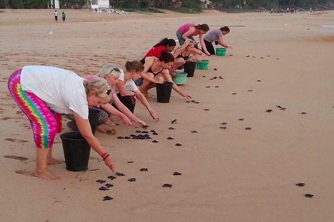 Galle Day Tour from Colombo/Negombo by Private Car or Van - FAQs