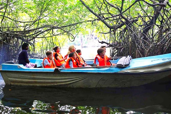 Galle Day Tour from Colombo or Negombo by Private Car , Van with Driver - Whats Included and Whats Not