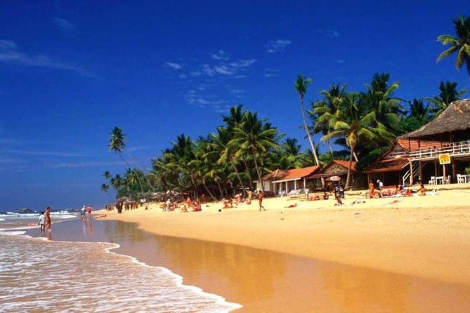 Galle Day Tour from Colombo or Negombo by Private Car , Van with Driver - Real Experiences and Traveler Feedback