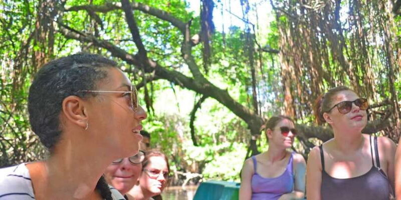 Galle Day Tour with River Safari,Sea Turtle & Tea Plantation - What’s Included and What’s Not