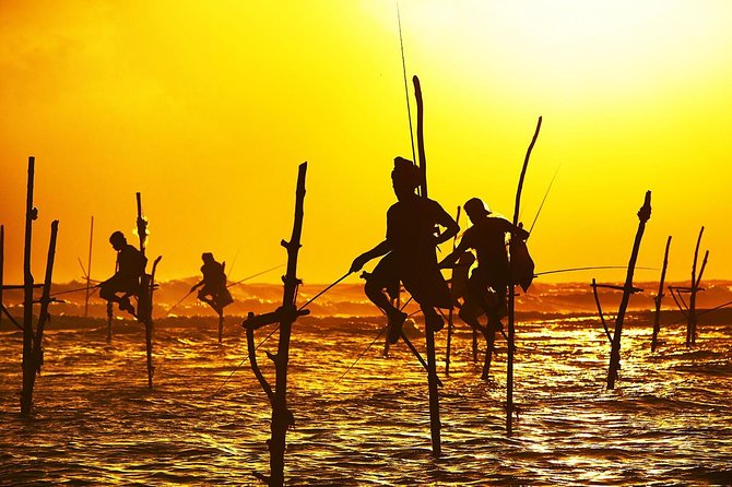 Galle Day Trip & Stilt Fishermen from Koggala - Galle Dutch Fort: A Step Back in Time