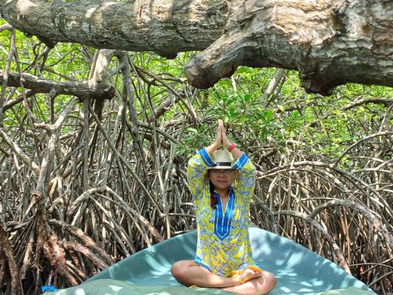 Galle fort and Bentota Day-Tour From Bentota - Who Would Enjoy This Tour?