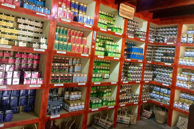 Galle Fort And Tea Factory Visit - Practical Details and What It Means for You