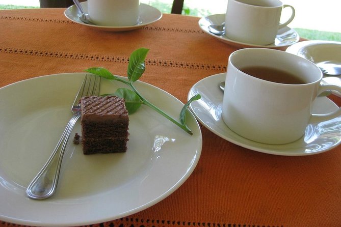 Galle Fort And Tea Factory Visit - Who Will Love This Tour?