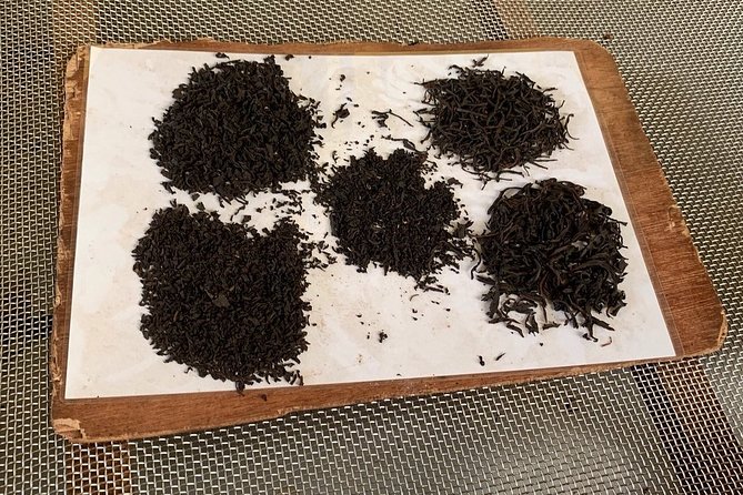 Galle Fort And Tea Factory Visit - Final Thoughts