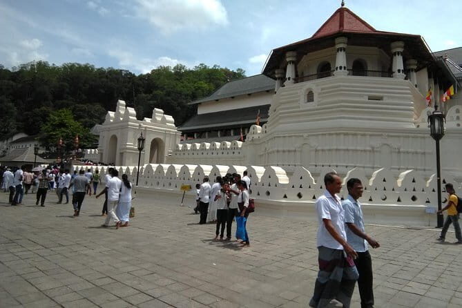 Galle fort day tour from colombo Explore Galle Madu River in a day trip - FAQ