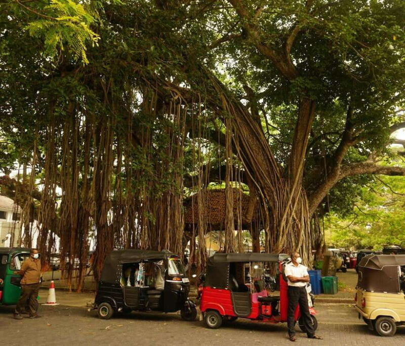 Galle: Fort Walking Tour with Local Guide + Lunch - Why This Tour Is a Great Choice
