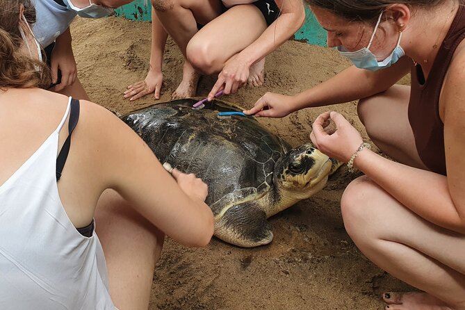 Galle Full-Day Tour - Final Thoughts: Is This Tour Worth It?