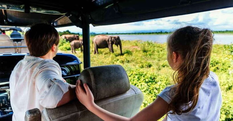 Galle/Mirissa/Hiriketiya: Drop to Ella & Udawalawa Safari - Why Travelers Love This Tour