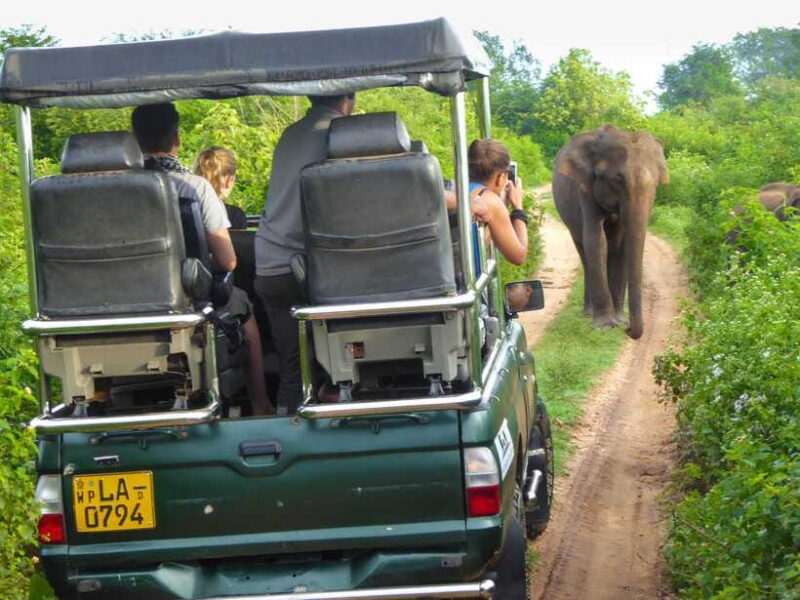 Galle or Mirissa: Private Yala Safari with Lunch at Campsite - Practical Details: Transportation, Timing, and Cost