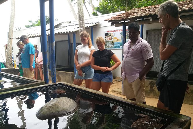 Galle sightseeing tour - The Itinerary: A Well-Structured Day of Discovery