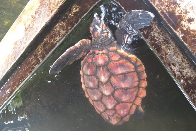 Galle sightseeing tour - The Value of This Tour