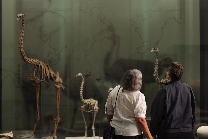 Gallery Highlights Tour and General Admission - Who Should Consider This Tour?