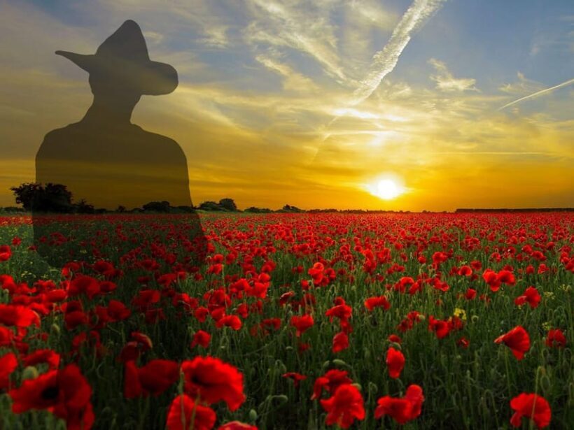 Gallipoli Full-Day Tour from Istanbul - Food and Value