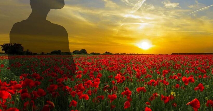 Gallipoli Full-Day Tour from Istanbul - Potential Drawbacks to Consider