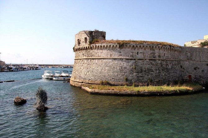 Gallipoli walking tour - Who Is This Tour Best For?