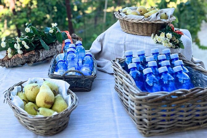 Gallura Picnic in the Farm with Animals - Who Will Love This Experience?