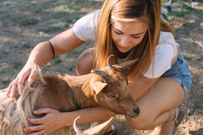 Gallura Picnic in the Farm with Animals - The Sum Up