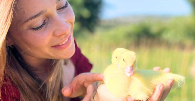 Gallura: Picnic on a Farm with Animals - Practicalities and Tips for Visitors