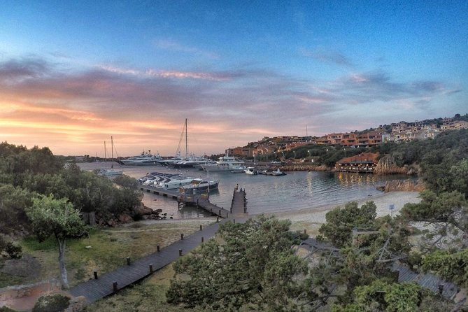 Gallura, Vermentino & Costa Smeralda - Price and Value: Is It Worth It?