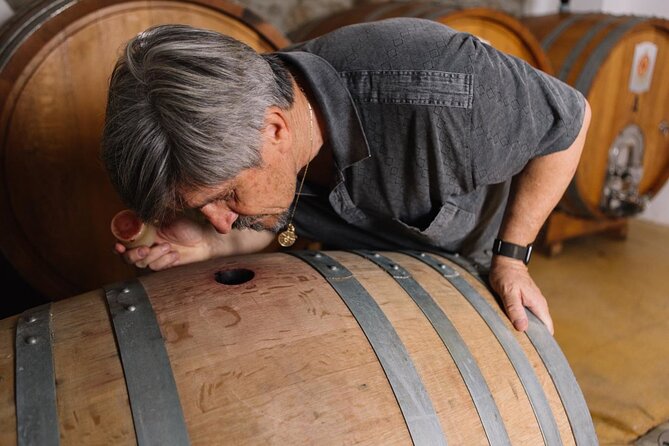 Gallura Winery with Wine Tasting in Olbia - A Closer Look at the Gallura Winery Tour