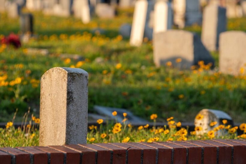 Galveston: Historic Galveston Ghost Tour - Discover Galveston’s Haunted Charm: The Historic Ghost Tour
