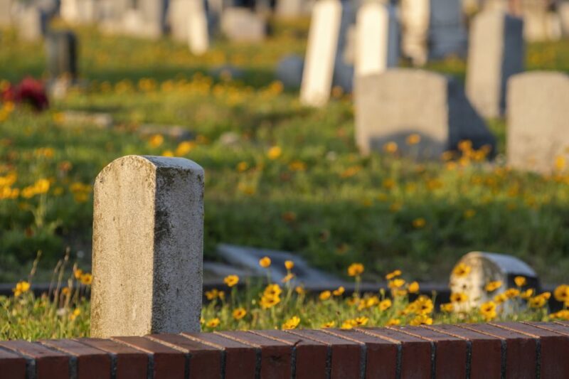 Galveston: Old City Cemetery Walking Tour with Local Guide - The Experience: What You Can Expect