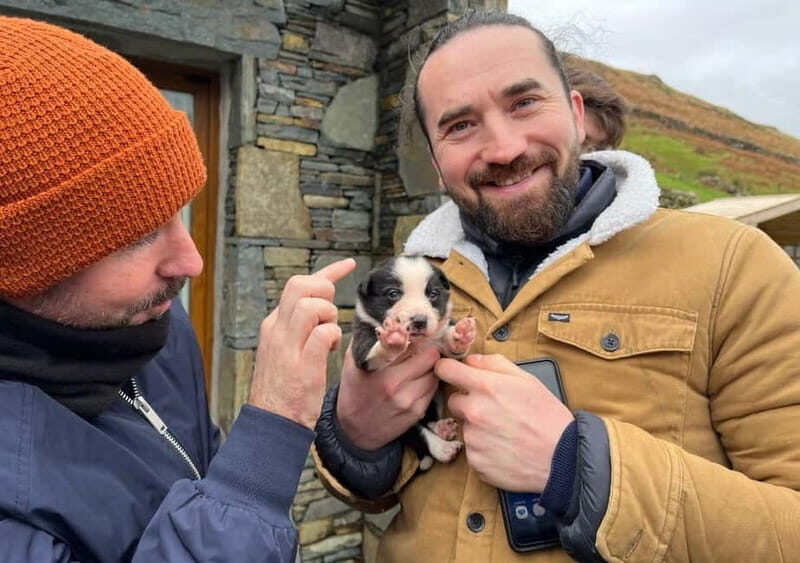 Galway: Connemara, Sheepdog Show and Medieval Castle Tour - An In-Depth Look at the Itinerary