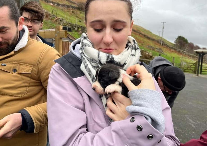 Galway: Connemara, Sheepdog Show and Medieval Castle Tour - Final Thoughts