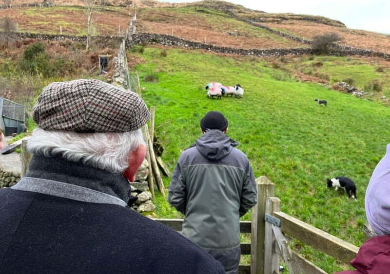 Galway: Connemara, Sheepdog Show and Medieval Castle Tour - FAQs