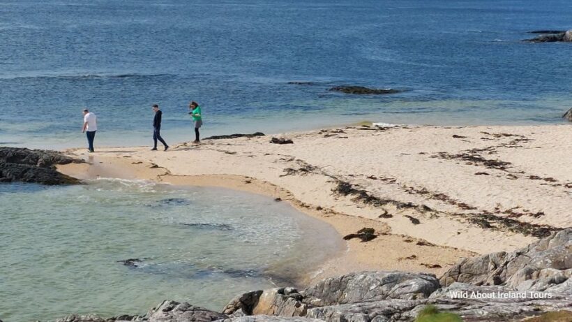 Galway: Kylemore, Sheep Farm and Connemara Private Day Tour - Key Points