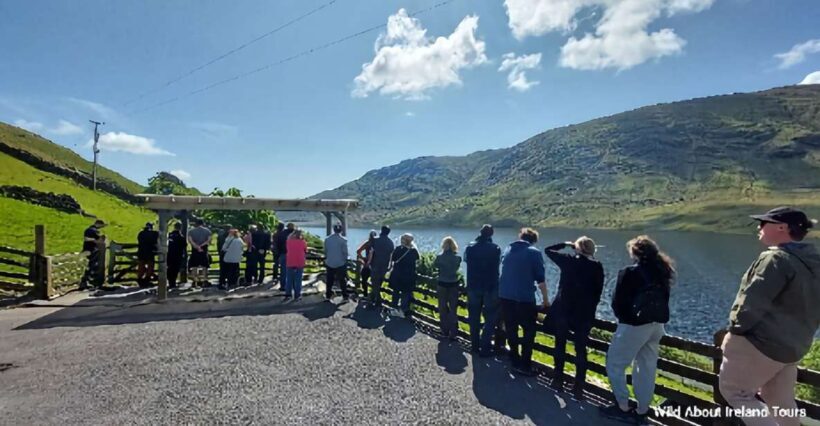 Galway: Kylemore, Sheep Farm and Connemara Private Day Tour - Introduction: An Authentic Irish Day Out