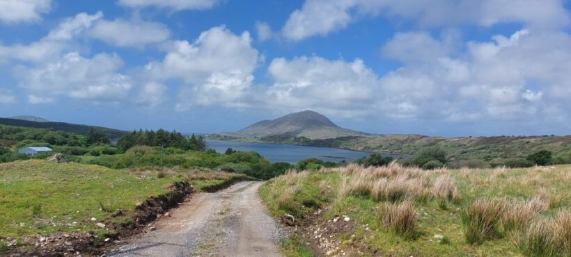 Galway: Kylemore, Sheep Farm and Connemara Private Day Tour - The Value of This Tour