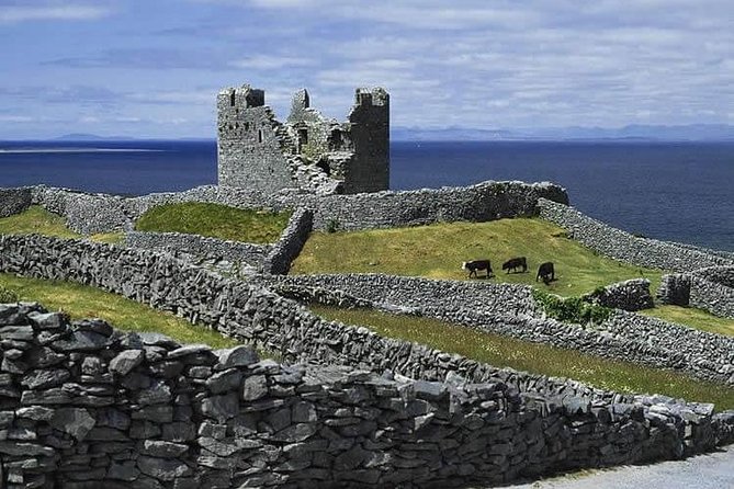 Galway to Aran Islands Inisheer, Doolin, Cliffs of Moher Day Tour - FAQ