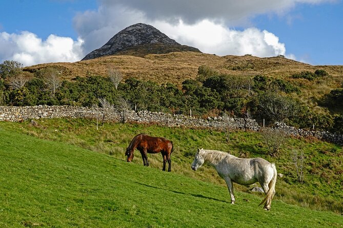 Galway to Connemara National Park Day Tour - Reviews From Travelers