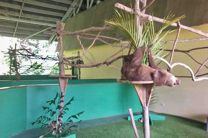 Gamboa Wildlife and Sloth Sanctuary Tour With Pickup - Booking and Logistics