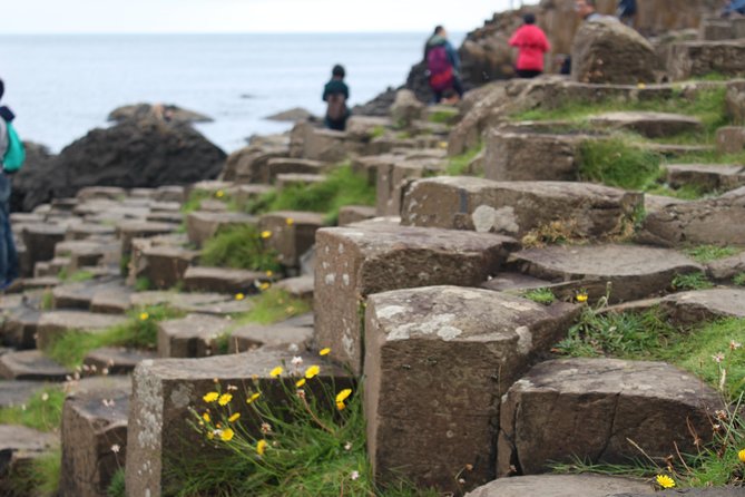 Game of Thrones and Giants Causeway Day Tour From Belfast - Traveler Feedback and Experiences