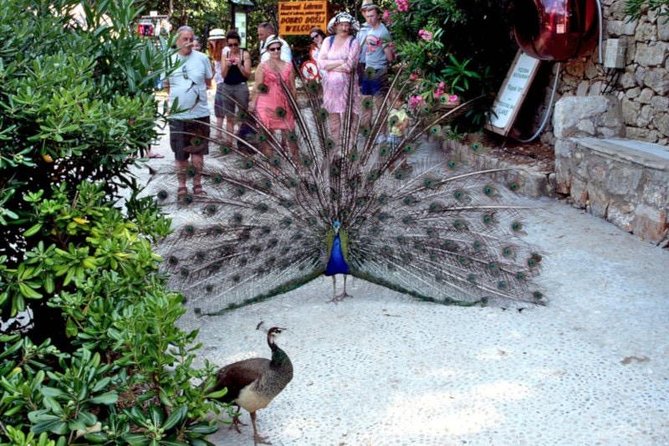 Game of Thrones Lokrum Special in Dubrovnik - Who Should Consider This Tour?
