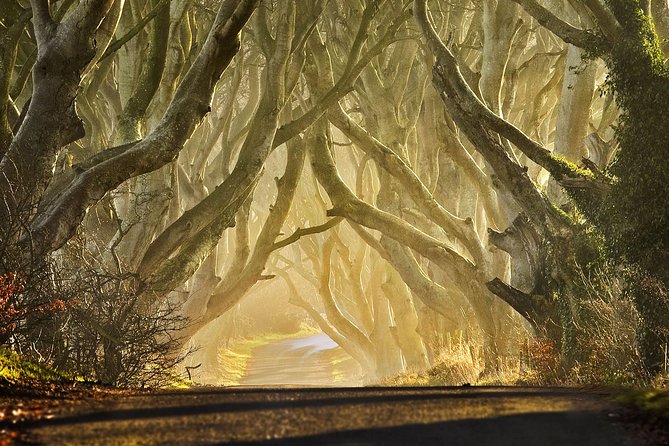 Game of Thrones - Private Audi A6 Tour With Richard the Wildling - Booking and Availability