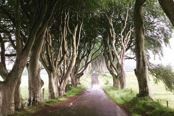 Game of Thrones Private Filming Locations Tour - Iconic Westeros Filming Locations Visited