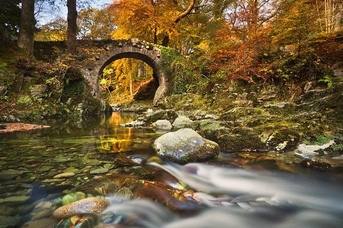 Game of Thrones - Tollymore Forest Trek - Recommended for Moderate Fitness Levels