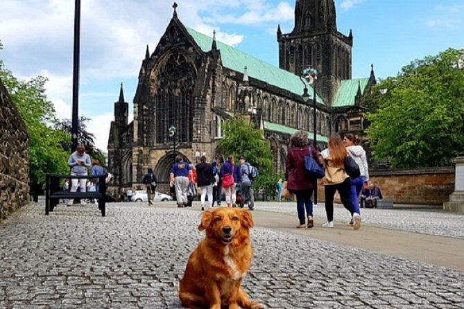 Gander Walking Tours in Glasgow - Who Will Appreciate This Tour?