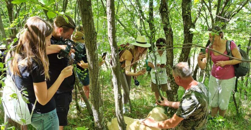Gaon - Istria: Truffles Hunting & Cooking & Tasting - Key Points
