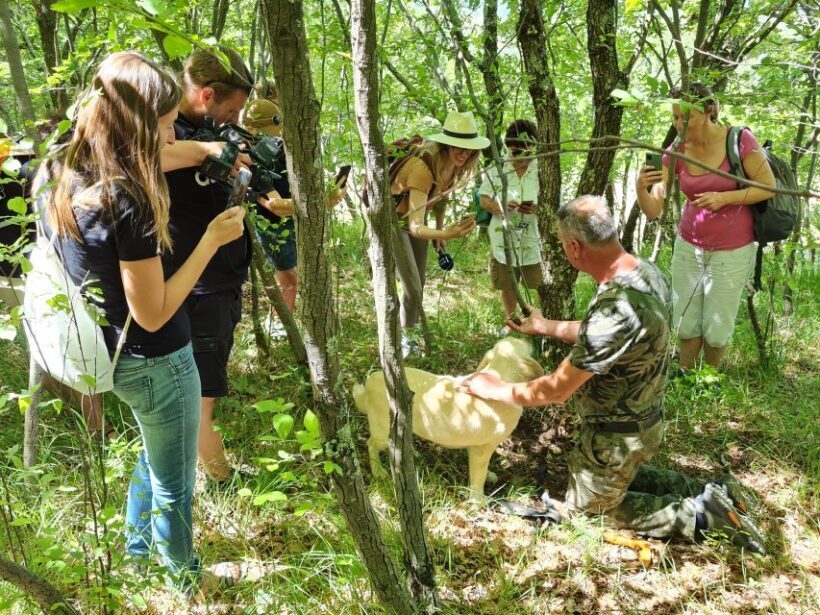 Gaon - Istria: Truffles Hunting & Cooking & Tasting - An In-Depth Look at the Truffle Tour Experience