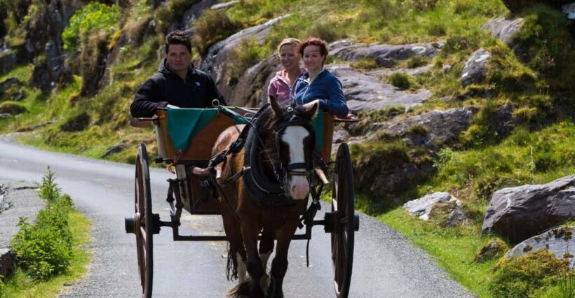 Gap of Dunloe & Lakes of Killlarney Boat Tour - Key Points